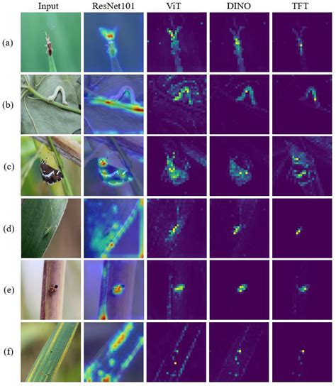 Electronics Free Full Text Multimodal Fine Grained Transformer