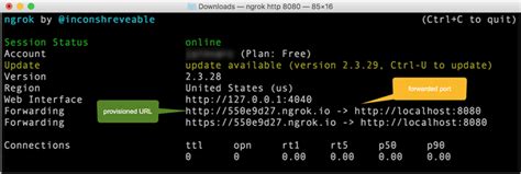 ngrok minecraft server telegraph