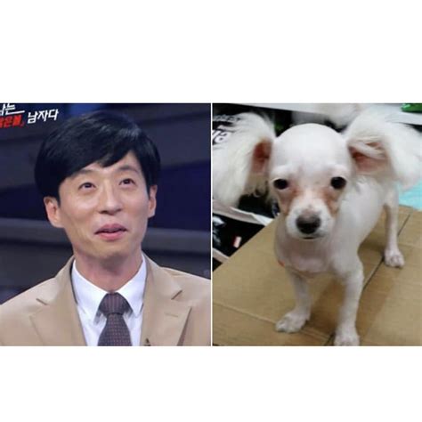 손석구 닮은 강아지 유머움짤이슈 에펨코리아