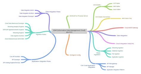 Idmc Informatica Data Management Cloud Aka Iics Coggle Diagram