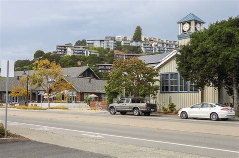 The Ark Town Hall Library Could Combine As Joint Hub For Residents