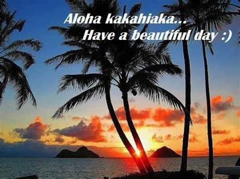 Aloha Kakahiaka Good Morning In Hawaiian