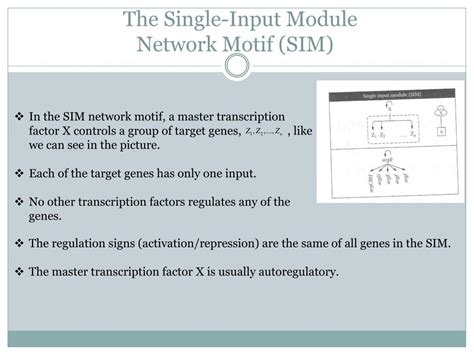 Ppt Seminar In Bioinformatics Winter 2011 Network Motifs Powerpoint