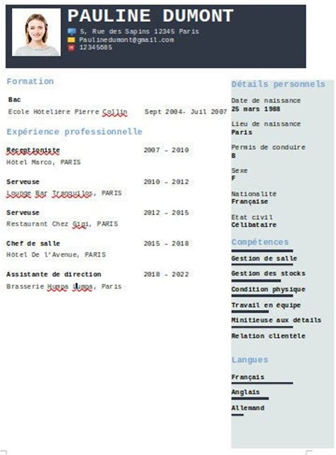 Cv Template Model Letter Job Work Curriculum Vitae Etsy