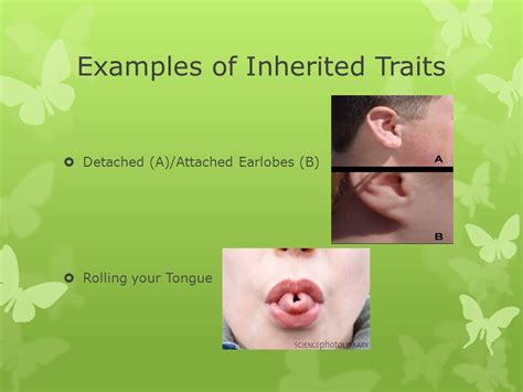 Inherited Trait Examples