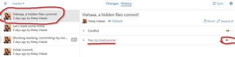 Git Removing Files From Repository While Merging Makes Them Disappear