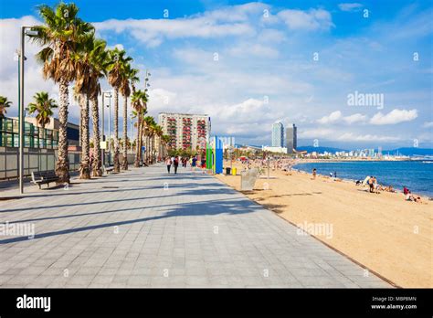 A Praia De Barceloneta 10 Melhores Praias De Barcelona Obea