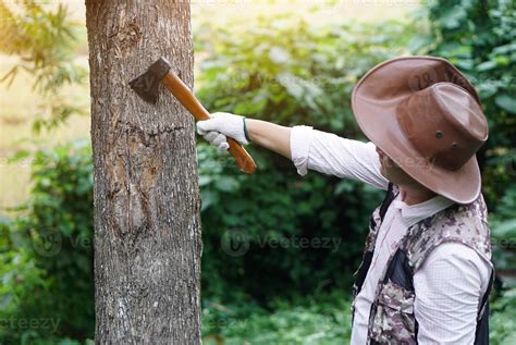 Man Cutting Trees With Axe