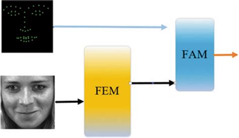 Input Flow Of The Original Image Download Scientific Diagram
