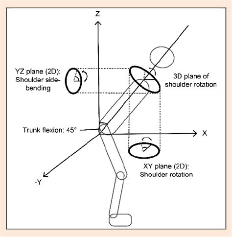 2D Shoulder Rotation 2D Shoulder Side Bending At Trunk
