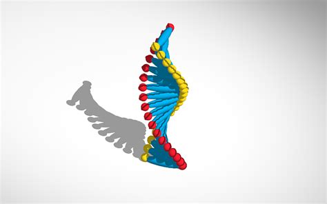 3d Design Our Dna Tinkercad 3d Design Our Dna Tinkercad