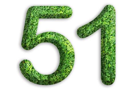 Premium Photo 3d Of The Number Of 51 Is Made From Green Grass On White Background Go Green Concept