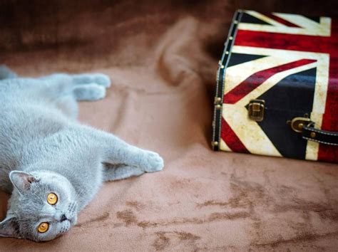 英国留学签证新规！部分材料原件可直接带回家！