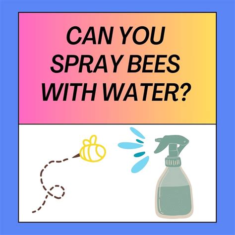 Can You Spray Bees With Water Pros Cons And Alternatives
