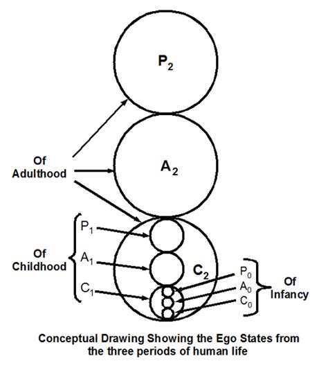 Transactional Analysis Theory And Practice Transactional Analysis