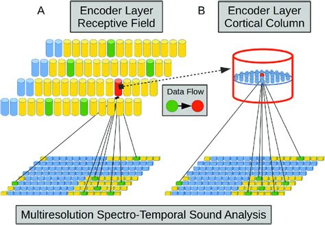Encoder Layer El Proximal Connections Each Cc In The El Exemplified