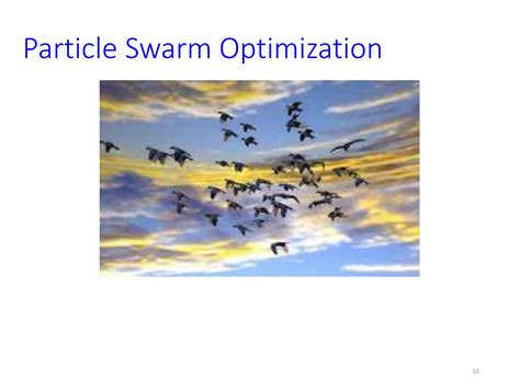 11 Optimization Algorithm With Swarm Pptx