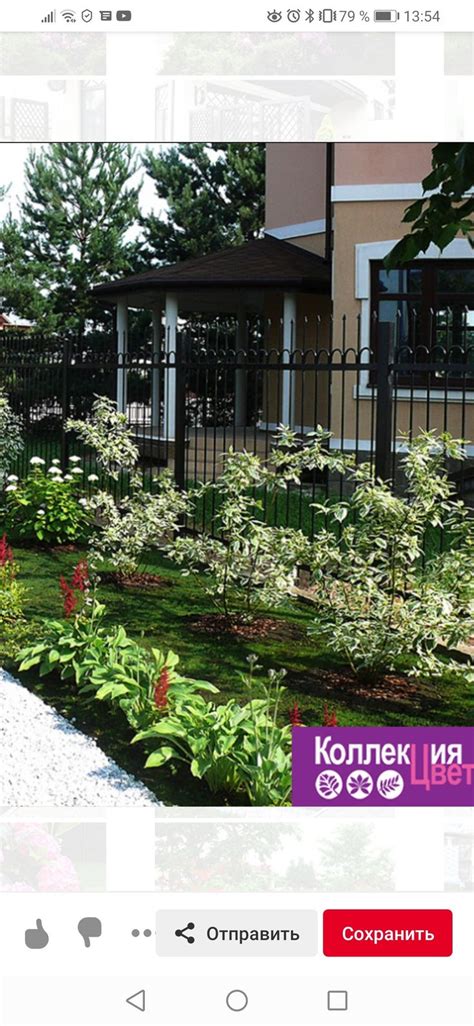 Pin By Рита Туктарова On идеи для посадки растений Plants Garden