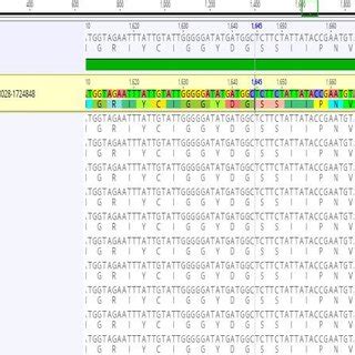 Multiple Alignment Sequencing Results On Nucleotide Base Sequences 1610 Download Scientific