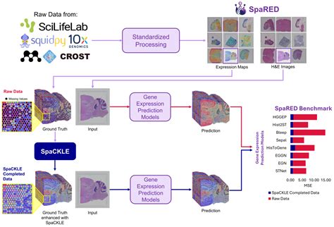 [논문 리뷰] Completing Spatial Transcriptomics Data For Gene Expression Prediction Benchmarking