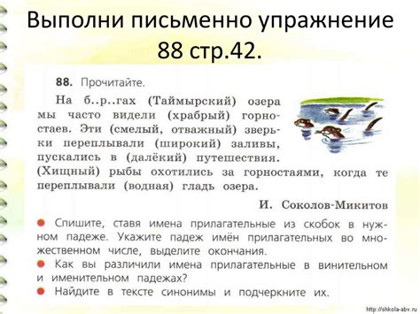 Именительный и винительный падеж у имен прилагательных презентация онлайн