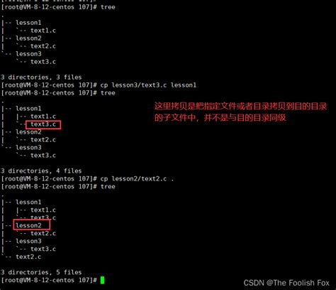 【linux修炼手册：基本指令（上）】 csdn博客