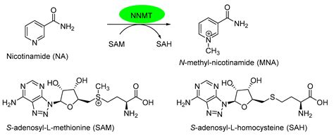 Tetrahydroisoquinoline Triazole Derivatives Novel Nicotinamide N