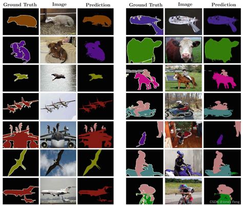 第三章：seed expand and constrain ——种子、扩展和约束：弱监督图像分割的三个原则 深度学习expand什么意思 csdn博客