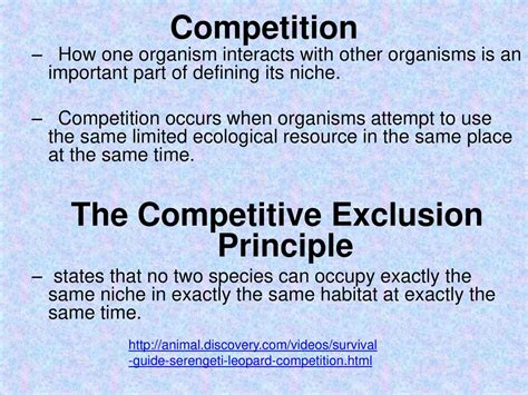 Ecosystems And Communities Ppt Download