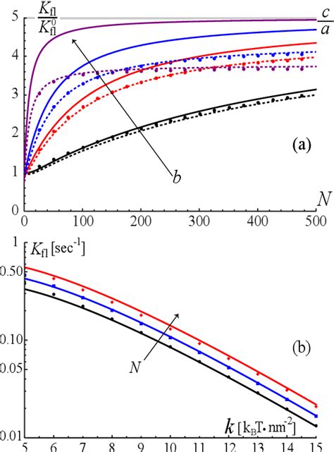 Figure 1 From Hard Wall Entropic Effect Accelerates Detachment Of