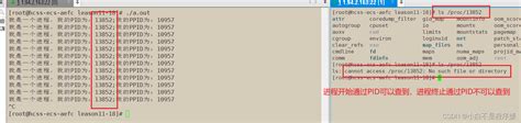 【linux系统化学习】进程的父子关系 Fork 进程linux系统化学习 Csdn专栏