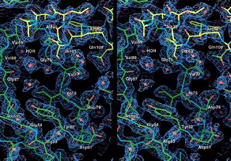 Human Dutp Pyrophosphatase Uracil Recognition By A β Hairpin And Active Sites Formed By Three