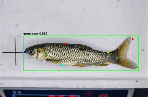 MrRuler Mode Recognition Ruler