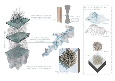 Neha Susan Mathew Msa 2024 Manchester School Of Architecture