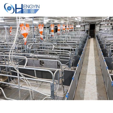 Pig Farrowing Crate Including Floor Farrowing Pen Crates Farm