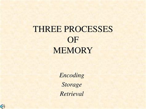 Memory Encoding Storage Retrieval