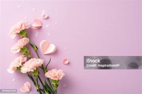 세련된 어머니의 날 테마입니다 섬세한 카네이션 미니어처 하트 라일락 배경의 색종이 조각 텍스트 또는 프로모션을 위한 공간 어버이날에 대한 스톡 사진 및 기타 이미지 Istock