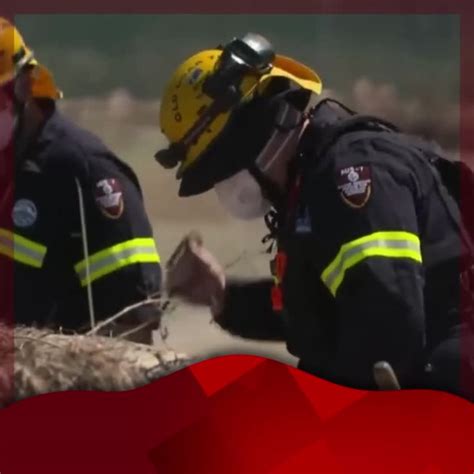 Rani Rangimoekau On Linkedin Dkw Recruitment Group Has Been Providing Information To Help