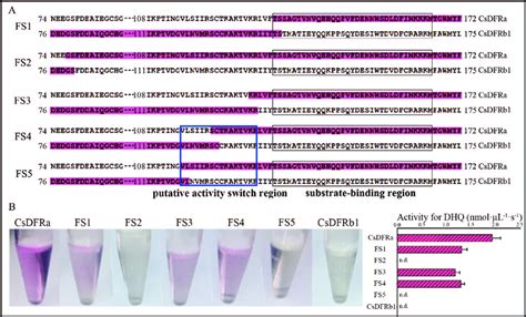 Truncation And Reorganization Were Used To Determine The Putative Download Scientific Diagram