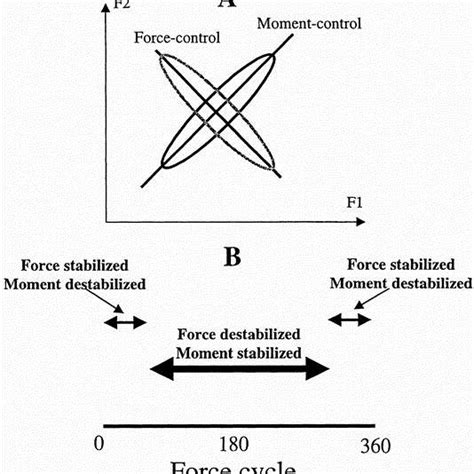 Pdf Motor Control Strategies Revealed In The Structure Of Motor Variability