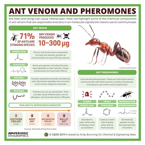 Periodic Graphics Ant Venom And Pheromones