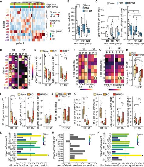 Single Cell And Spatial Profiling Identify Three Response Trajectories