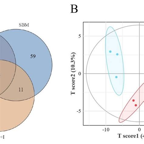 Intestinal Ora Otus Assay Results And Beta Diversity Analysis A Otus Download Scientific