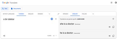 Gender Bias In Machine Translation Capstan