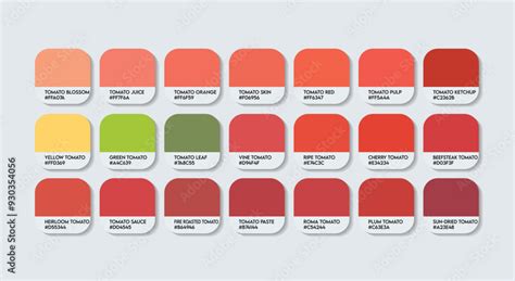 Tomato Color Palette Tomato Red Color Guide Palette With Color Names