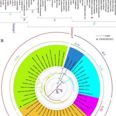 A Plot The One Step Growth Curve Of The Virus B Infection By The