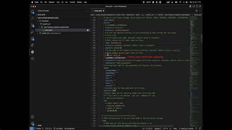 Use A Pkcs12 Keystore With Zowe Generated Certificates 1 Customize Zowe Yaml Youtube