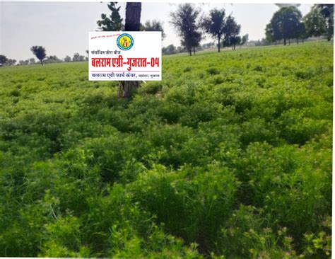 Sahdev Singh Dangi Posted On Linkedin