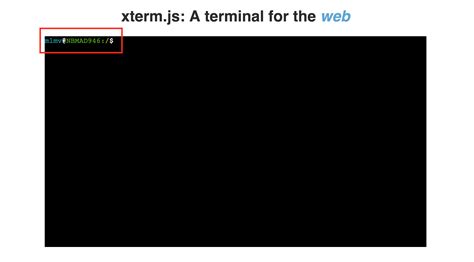 Same Code Returns Different Results · Issue 1498 · Xtermjsxtermjs · Github