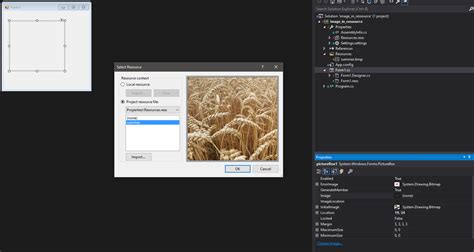 Thinking In Bits Using Resources To Store Images In A Windows Forms C Program